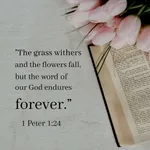 This Week's Service Folder - St. John's Lutheran Church